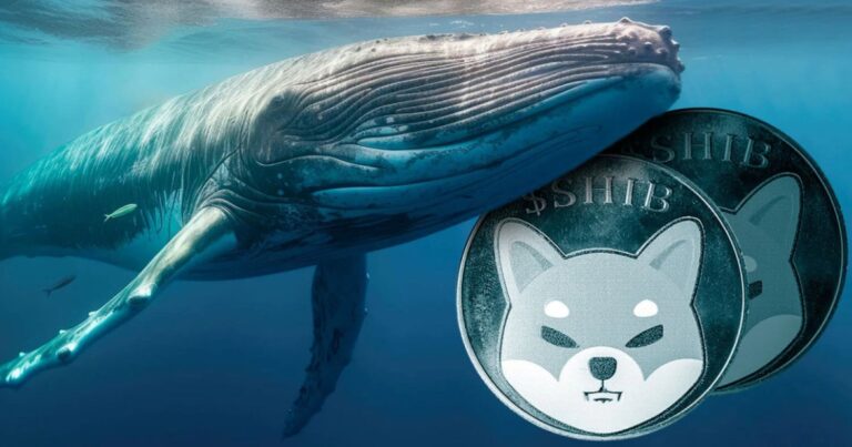 Shiba Inu Whale Moves 100B SHIB: Price Drop Imminent?