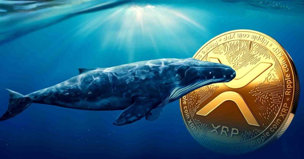 Whale Exodus: 40M XRP Moved as Market Absorbs Institutional Sell-Off